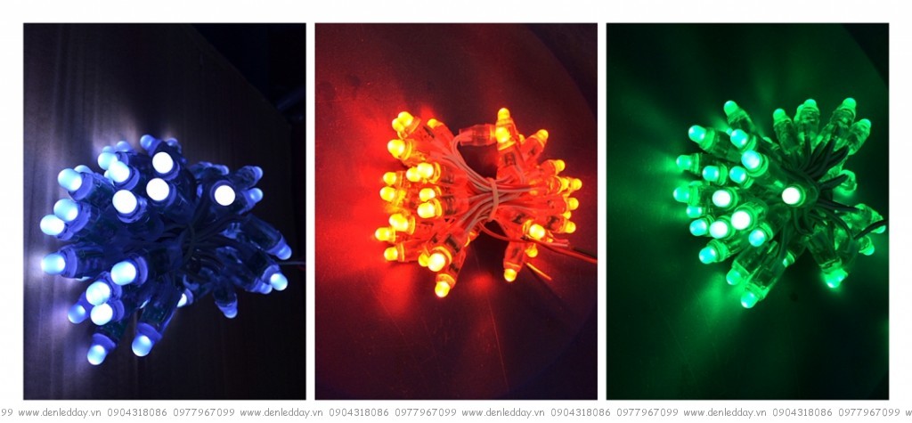 Đèn LED hạt - LED đúc - F5, F8, đơn sắc, RGB, Full color - tại ĐÈN TỐT